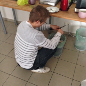 How to peel potatoes - Slav Squat